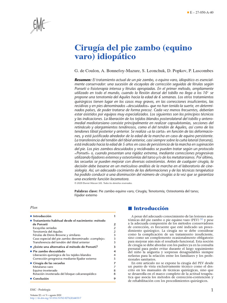 Pie Zambo 2 | PDF | Pie | Tobillo