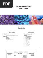Encapsulated Vs Non Encapsulated Gram Positive Bacteria | PDF