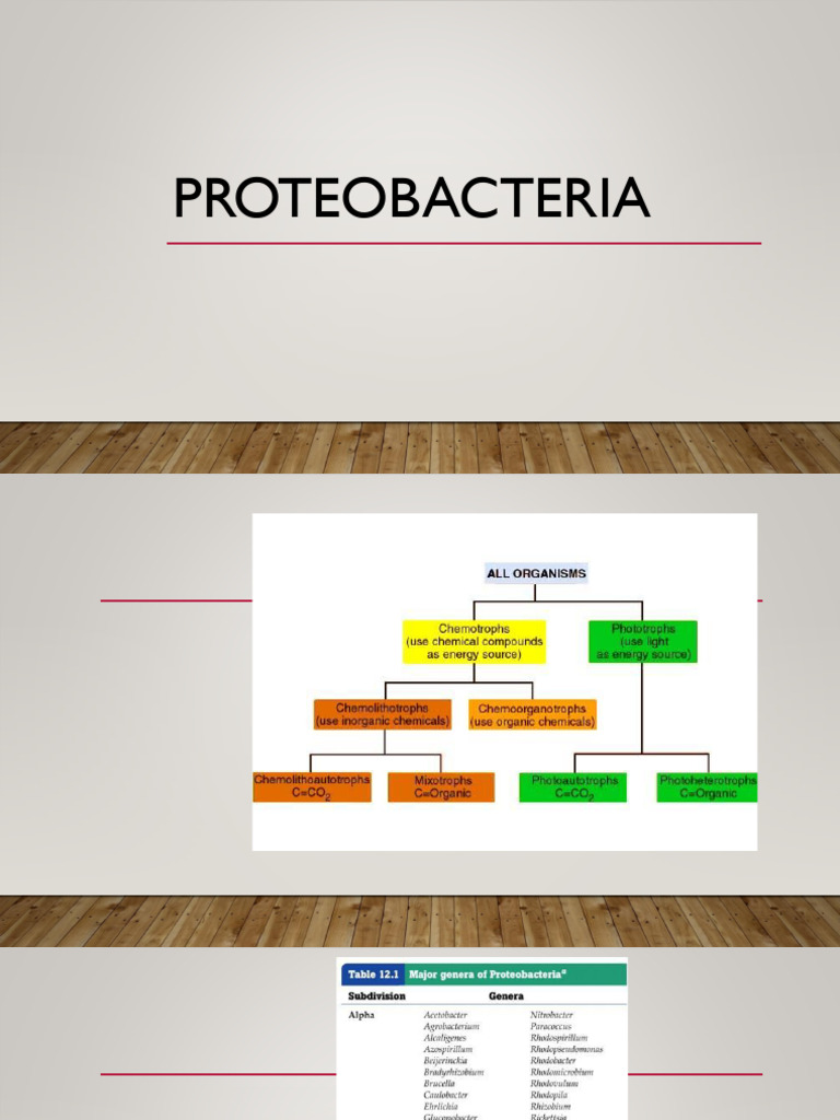 PROTEOBACTERIA | PDF | Chemistry | Organisms