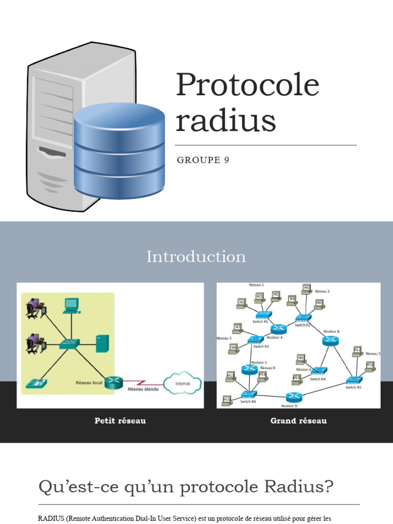 Protocole RADIUS : Avantages et Inconvénients | PDF