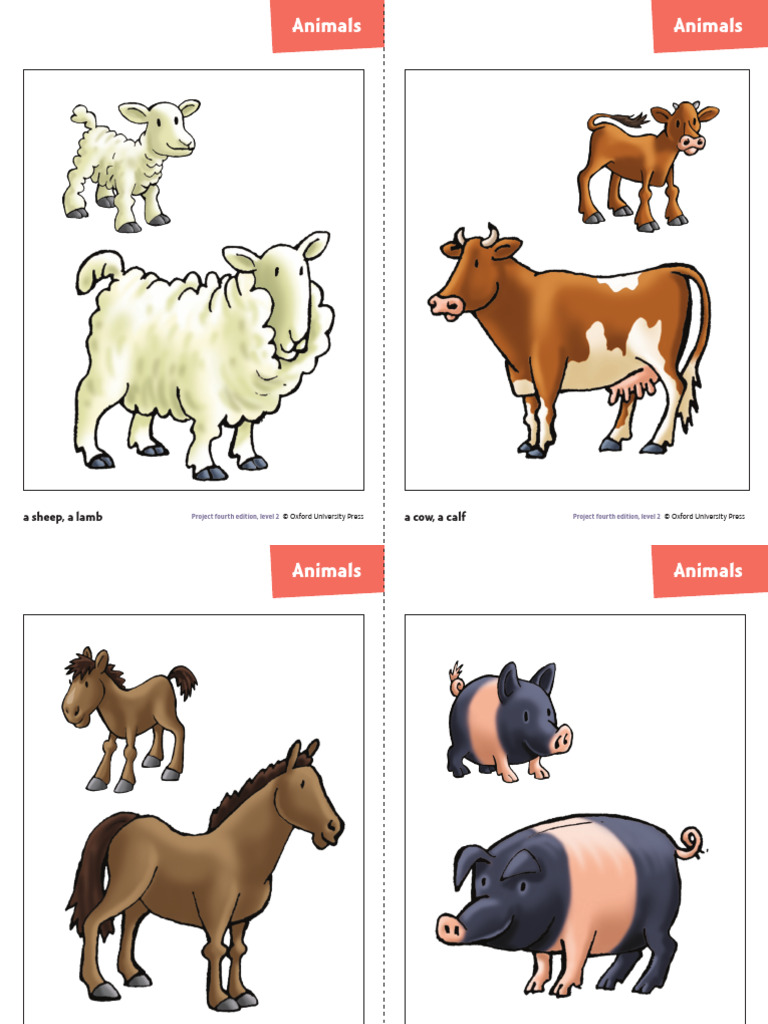 Project 4e Level 2 Unit 2 Animals | PDF | Livestock | Mammals