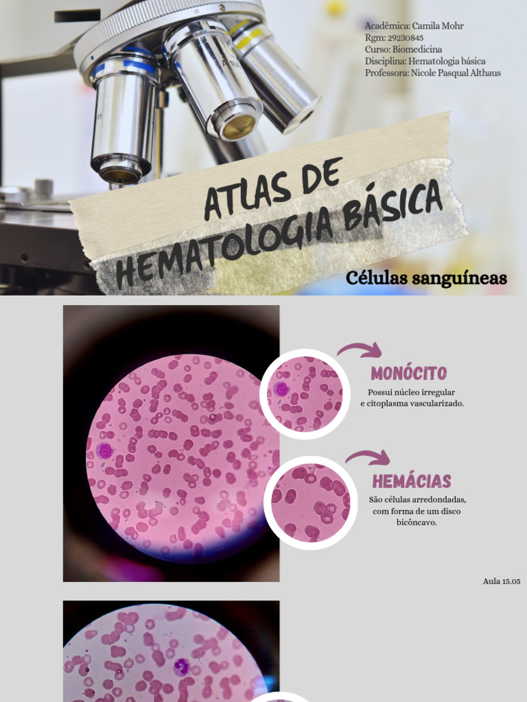 Atlas de Hematologia básica Camila Mohr | PDF