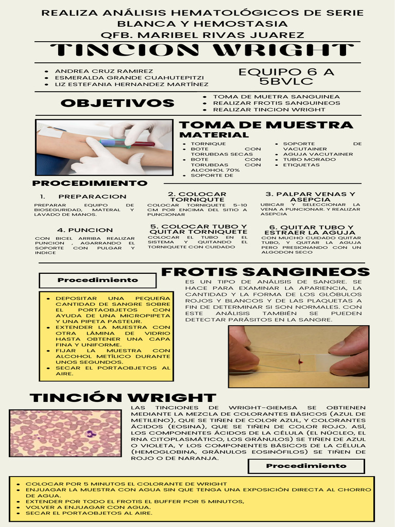 Tincion Wright | Descargar gratis PDF | Tinción | Sangre