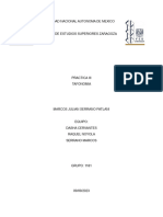 Procesos de Fosilización y Tafonomía | PDF | Fósil | Paleontología
