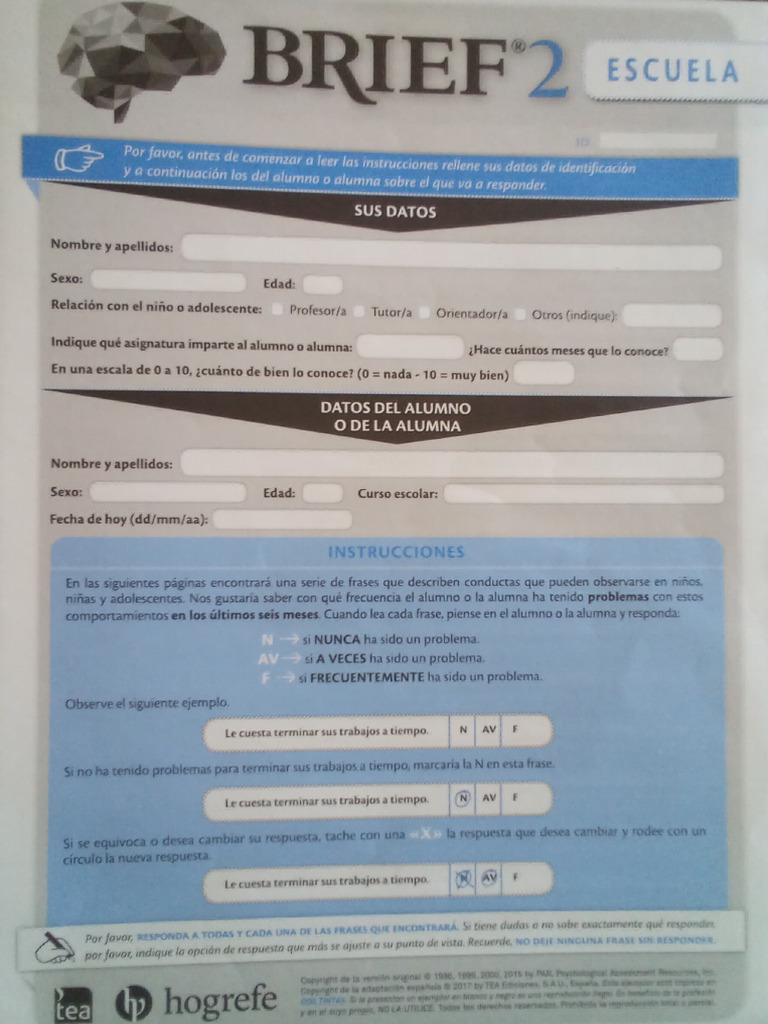 Brief 2 escuela 5-18 años | PDF