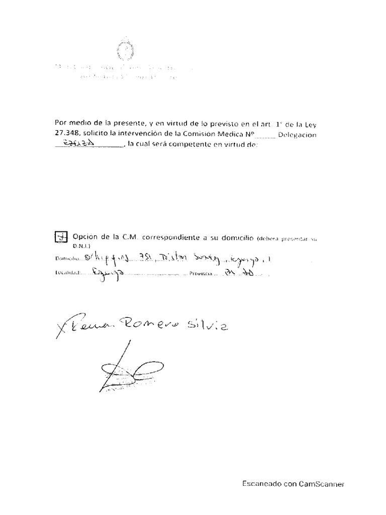 Form Domi SRT | PDF