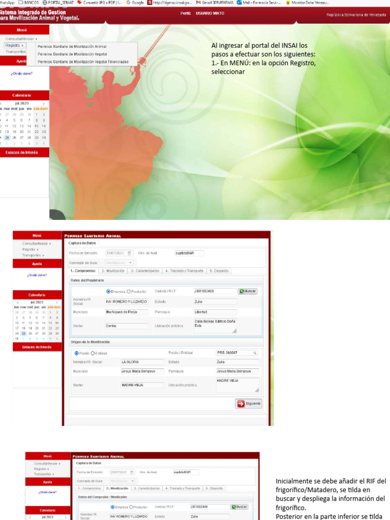 Guía de Registro en Portal INSAI | PDF