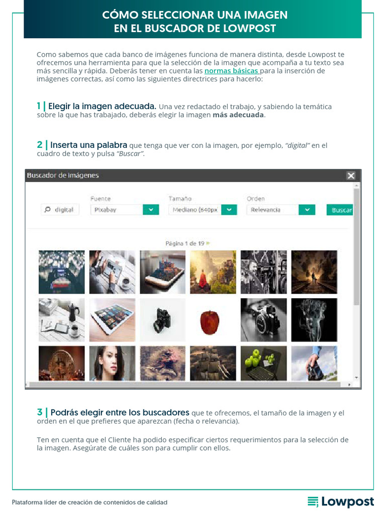 Como Seleccionar Una Imagen en El Buscador de Lowpost | PDF