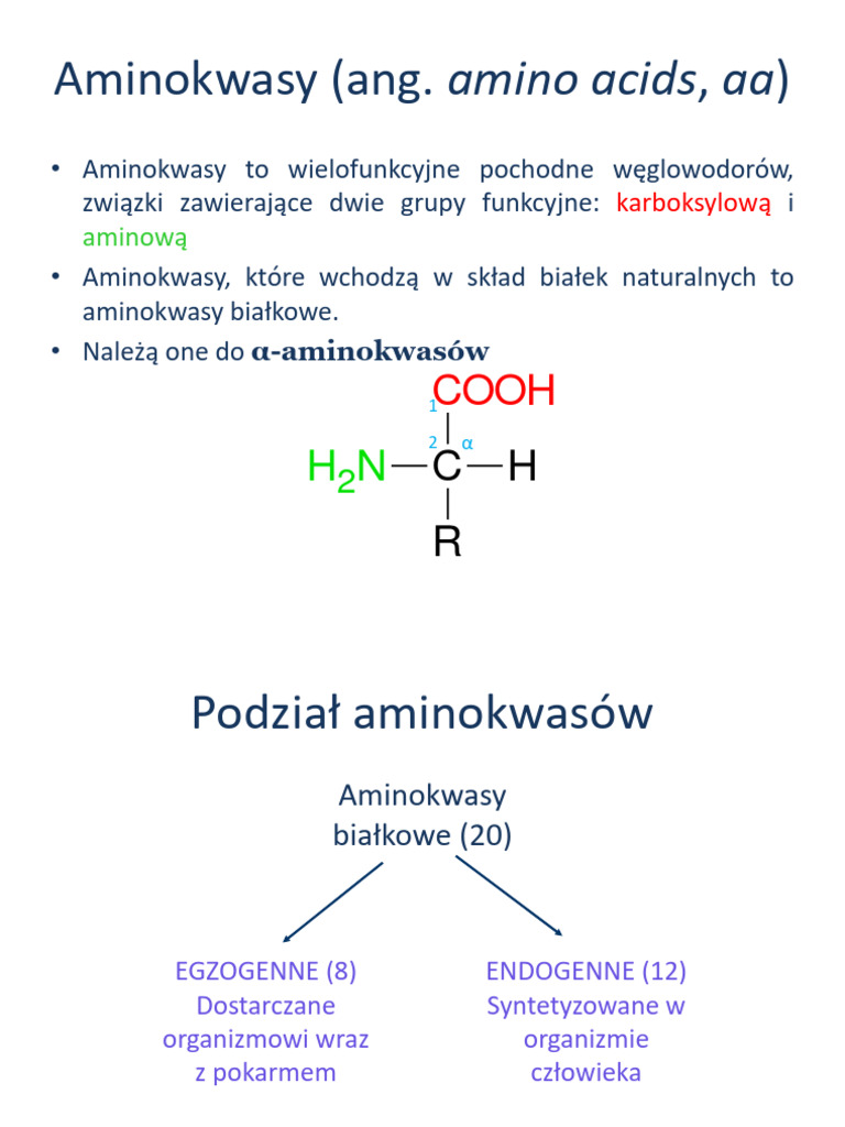 Aminokwasy | PDF