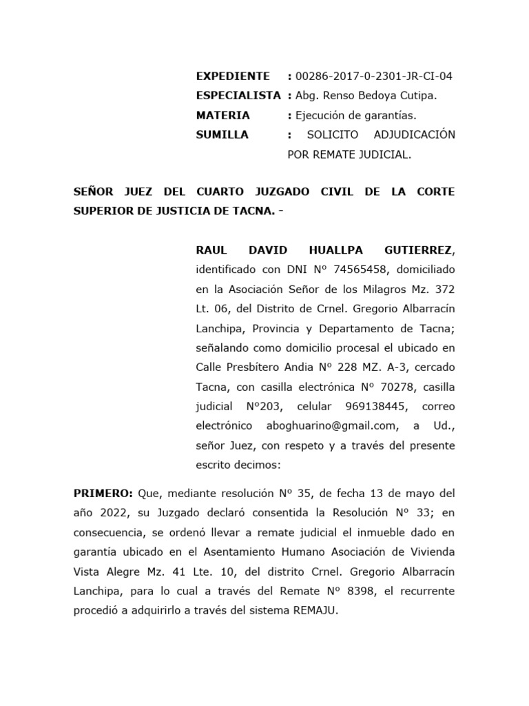 Modelo Adjudicación Por Remate Judicial | PDF | Gobierno | Justicia