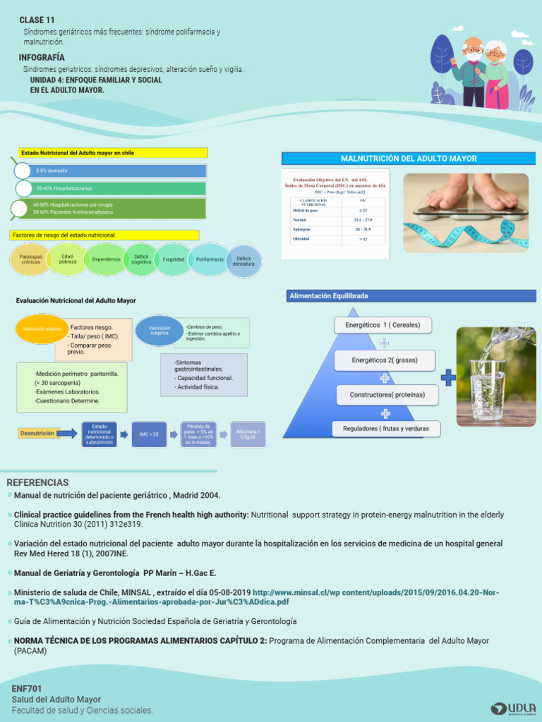 Infografia Malnutricion Pdf