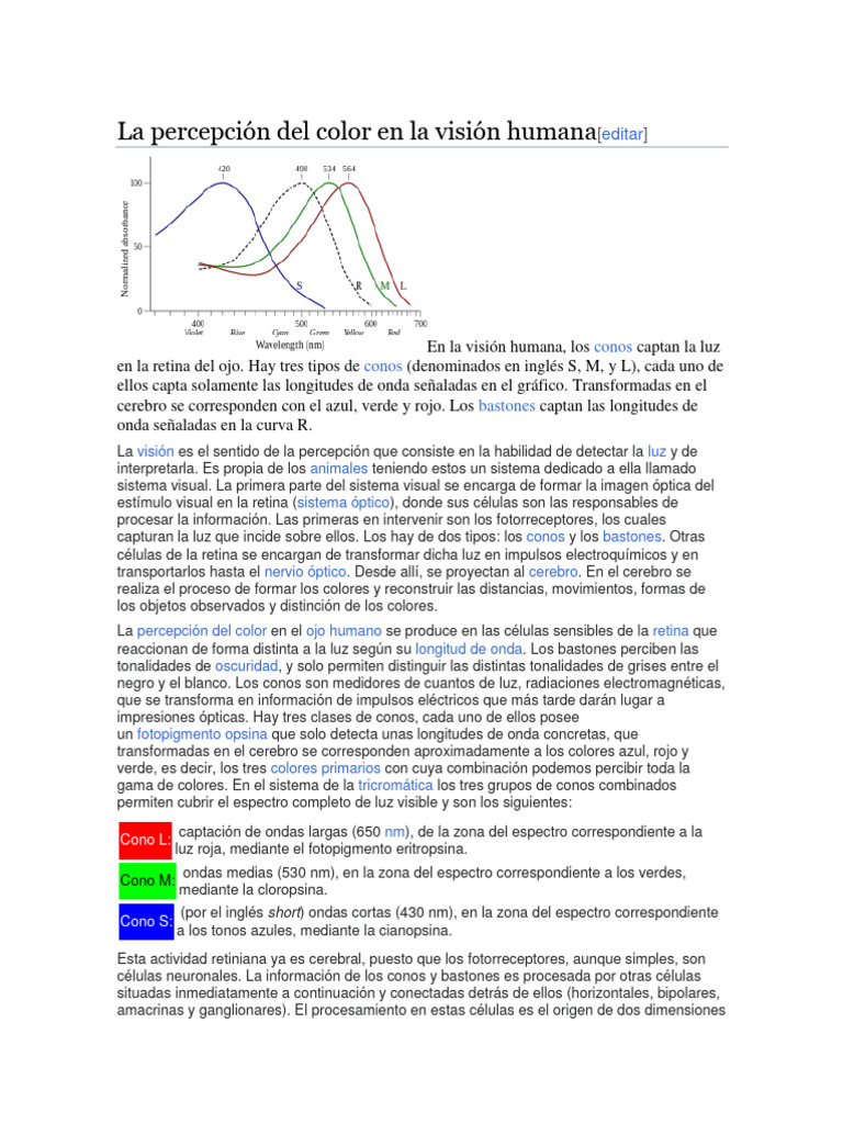 Percepción del Color Humano | PDF | Color | Percepción visual