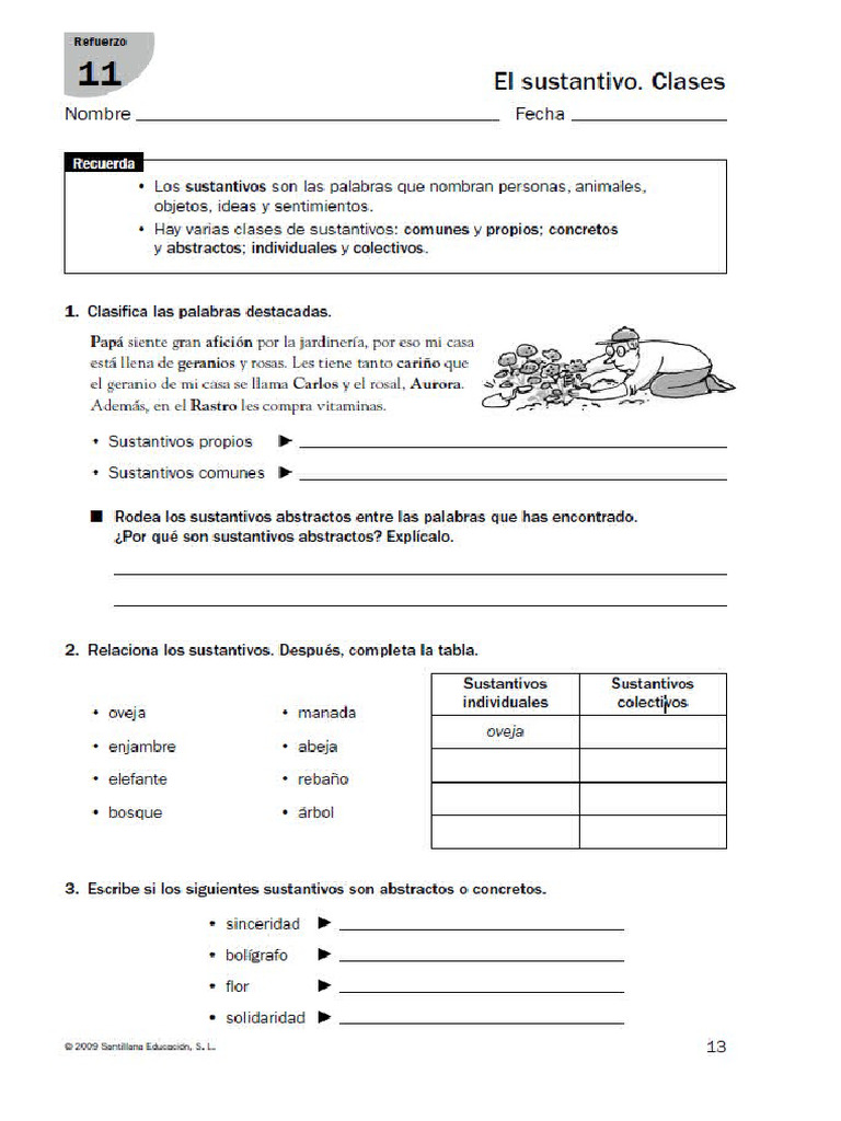 Actividades de Sustantivo y Adjetivo | PDF