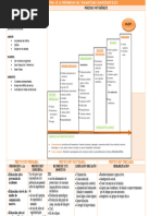 Escala de Maddox | PDF