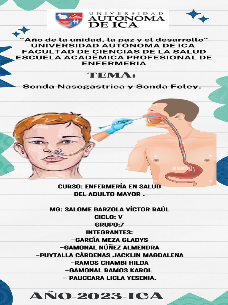 SONDA NASOGASTRICA Y FOLEY GRUPAL | PDF | Urología | Enfermedades y trastornos
