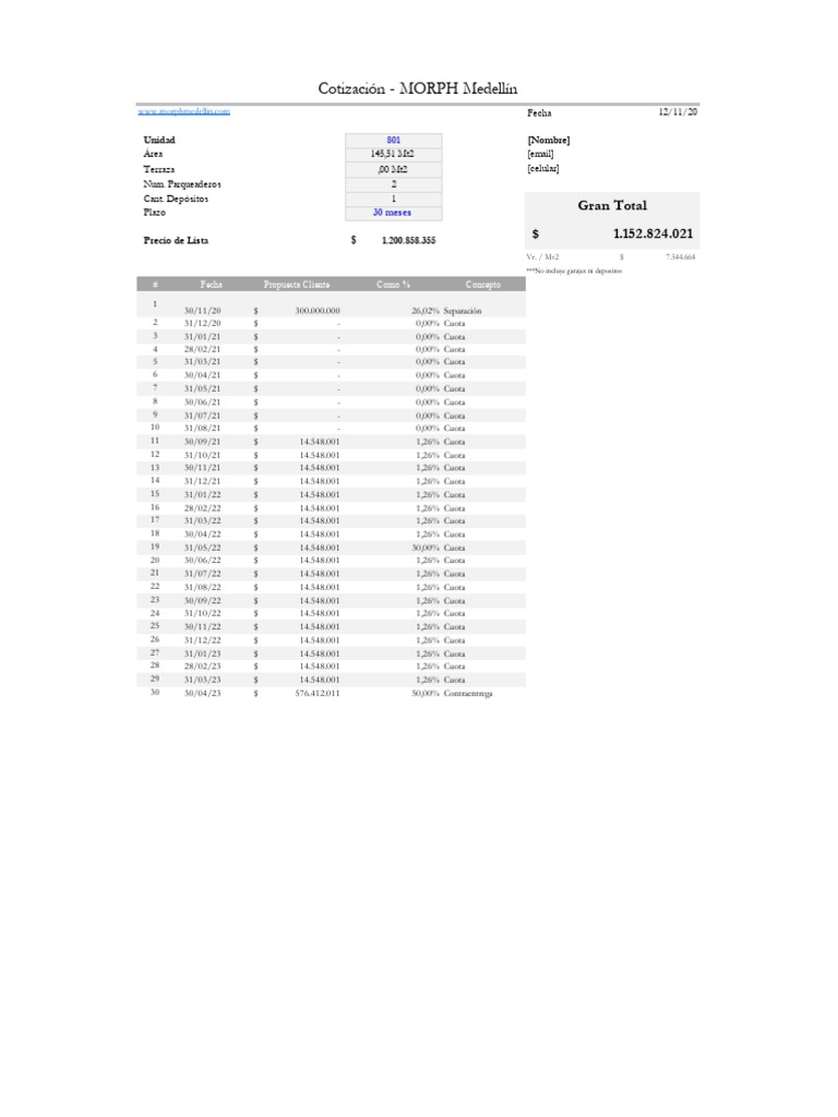 Proyecciones Financieras MORPH V1.0 | PDF