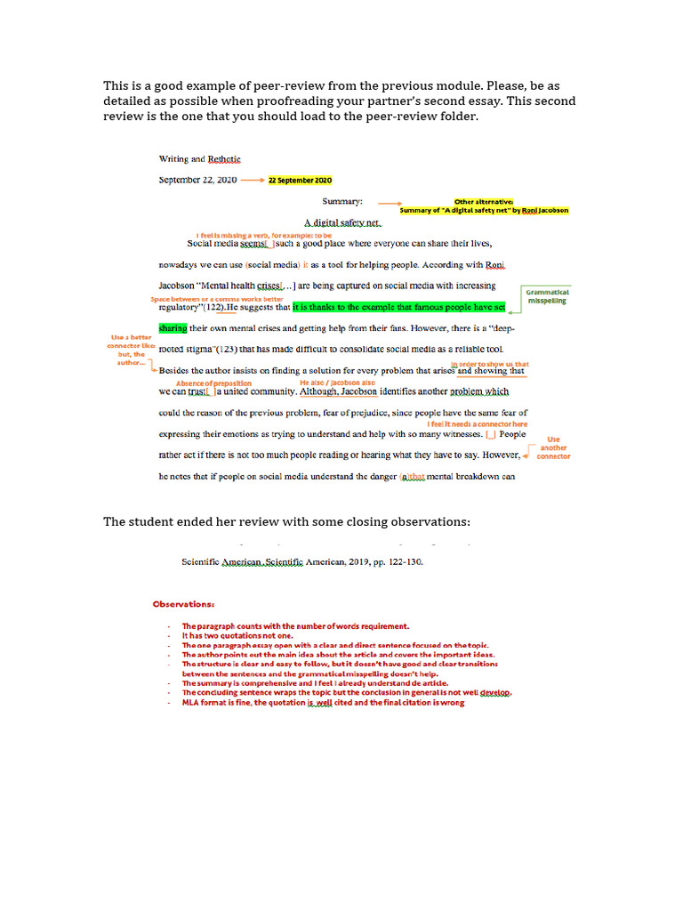 Peer Review Example for Essays | PDF | Career & Growth | Computers