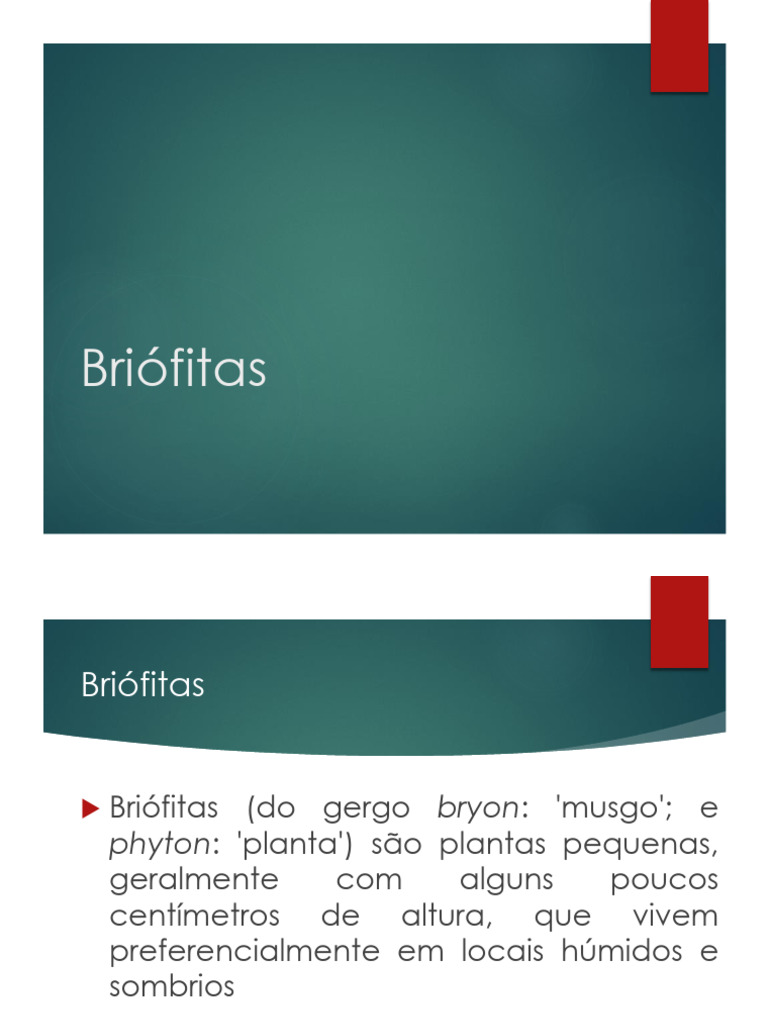 2 Briofitas | PDF
