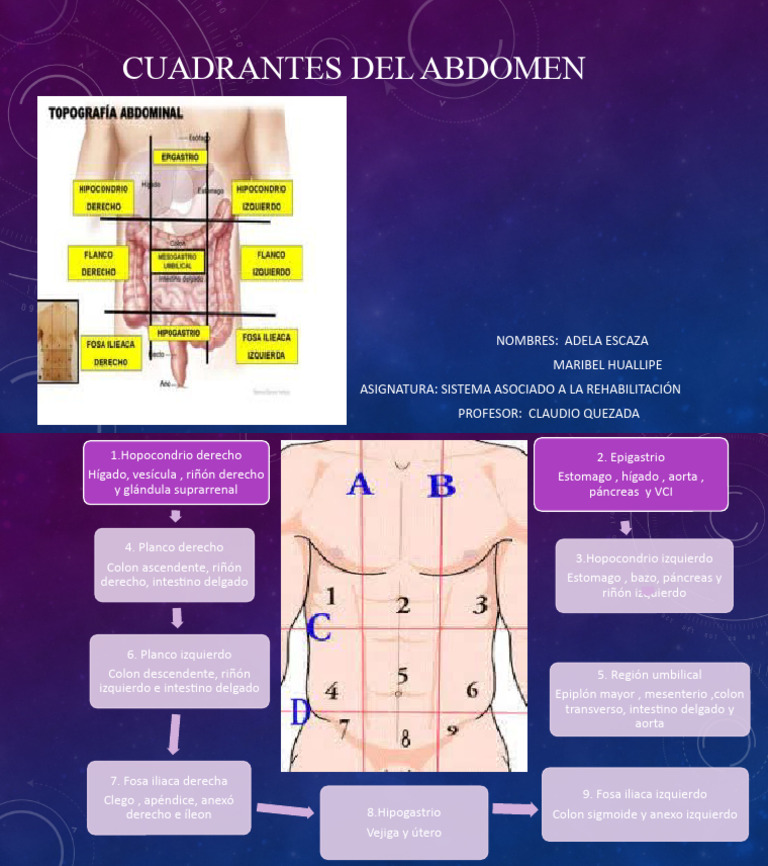 Cuadrantes Del Abdomen | PDF