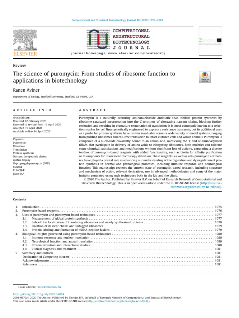 Science of Puromycin | PDF | Translation (Biology) | Proteins