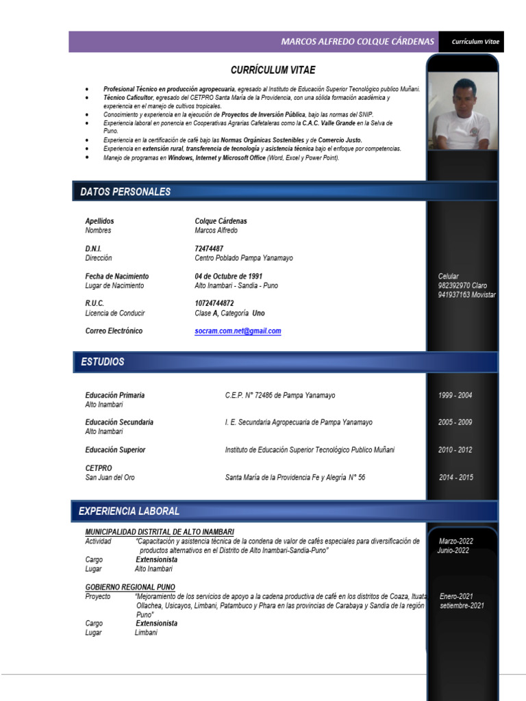 Currículum Vitae - Marco | PDF