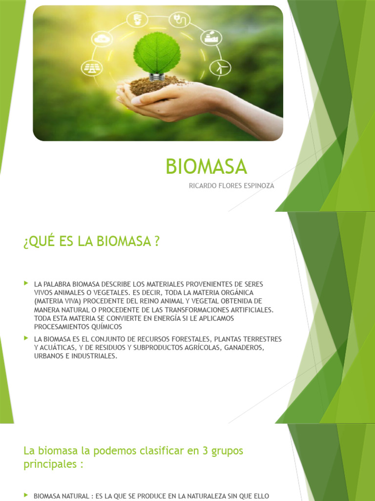 Biomasa: Energía y Procesos Clave | PDF | Biomasa | Energía renovable
