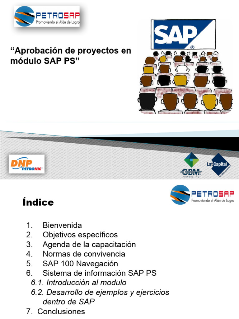 Capacitación de Aprobador (SAP PS) | PDF | Información | Planificación