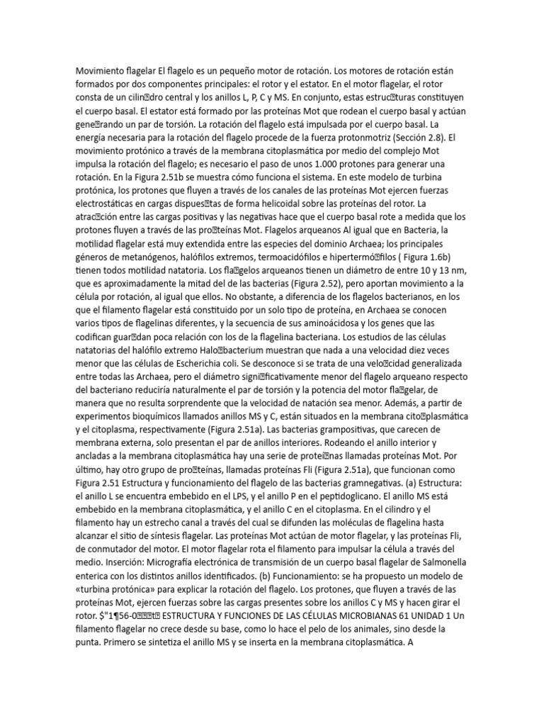 Movimiento Flagelar El Flagelo Es Un Pequeño Motor de Rotación | PDF ...
