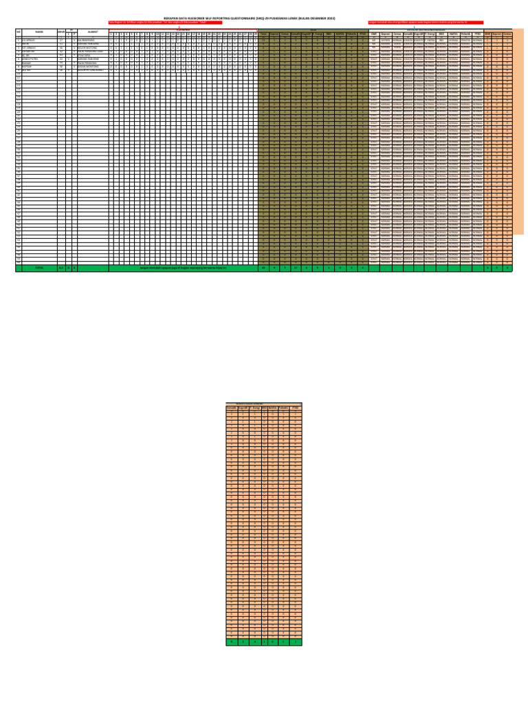SRQ-29 Questionnaire Data Summary | PDF