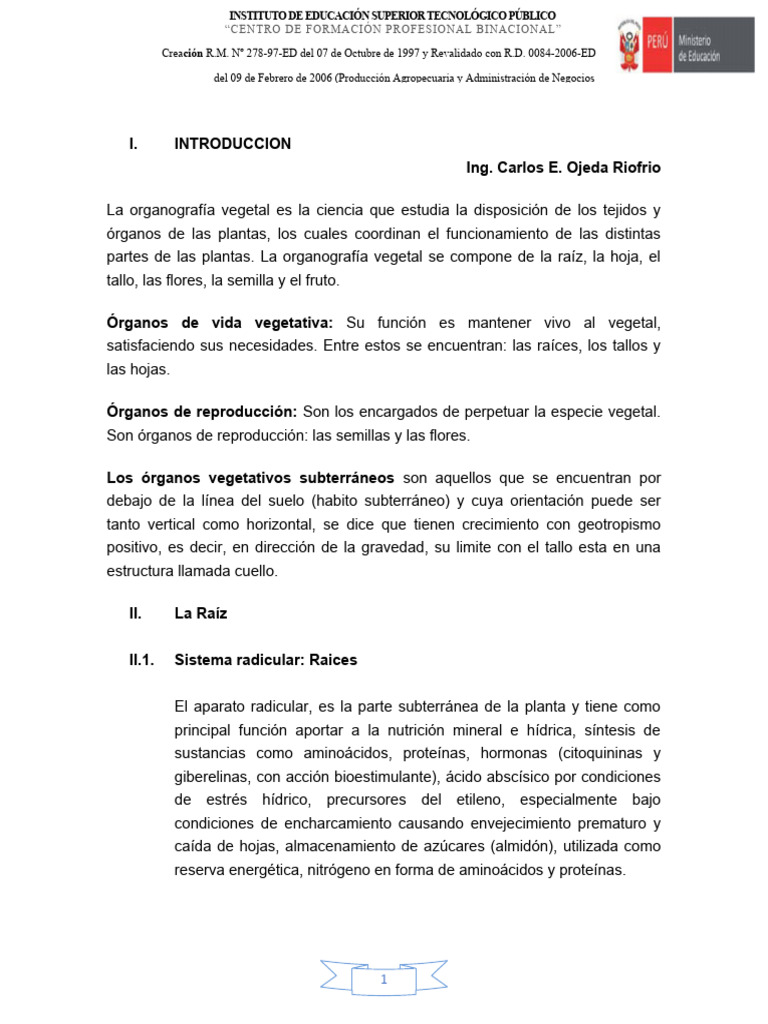 Separata 3 Organografia Vegetal Semana 3 | PDF | Raíz | Plantas