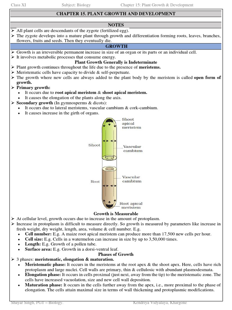 Chapter 15 - PLANT GROWTH & DEVELOPMENT | PDF | Plant Hormone | Auxin
