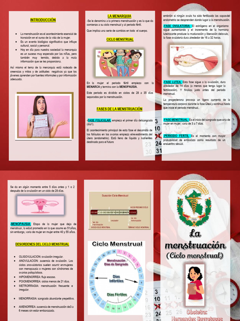 La Mestruacion - Triptico | PDF | Ciclo menstrual | Sistema endocrino