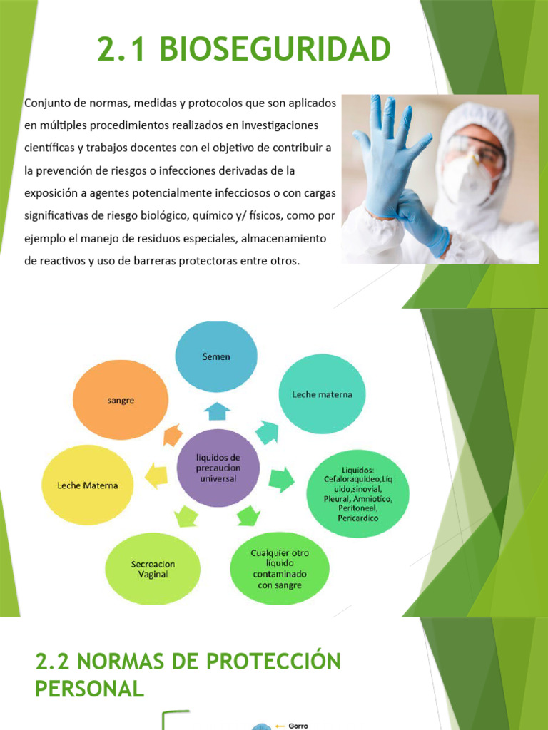 Bio Seguridad | PDF | Lavado de manos | Infección