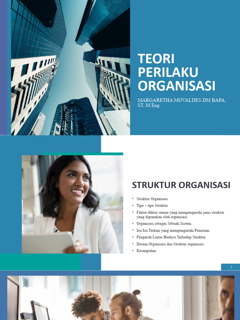 Teori Perilaku Organisasi | PDF | Karier & Perkembangan