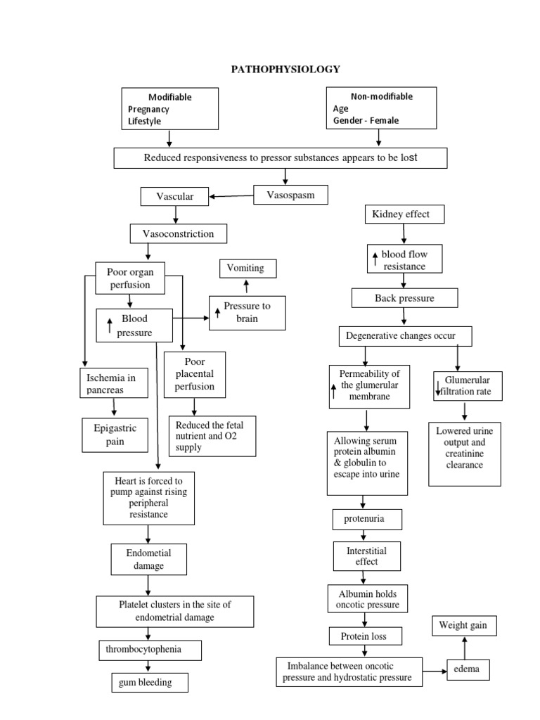 Patho Preeclampsia | PDF | Creatinine | Renal Function