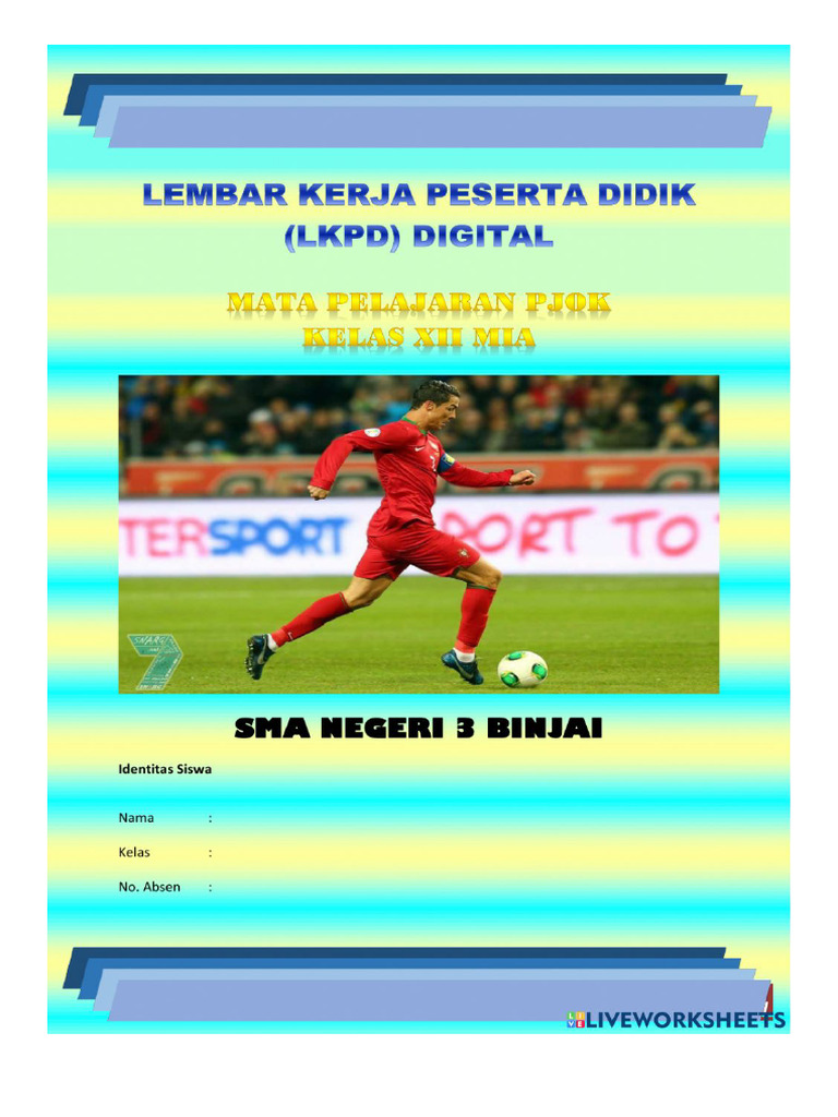 Document PDF