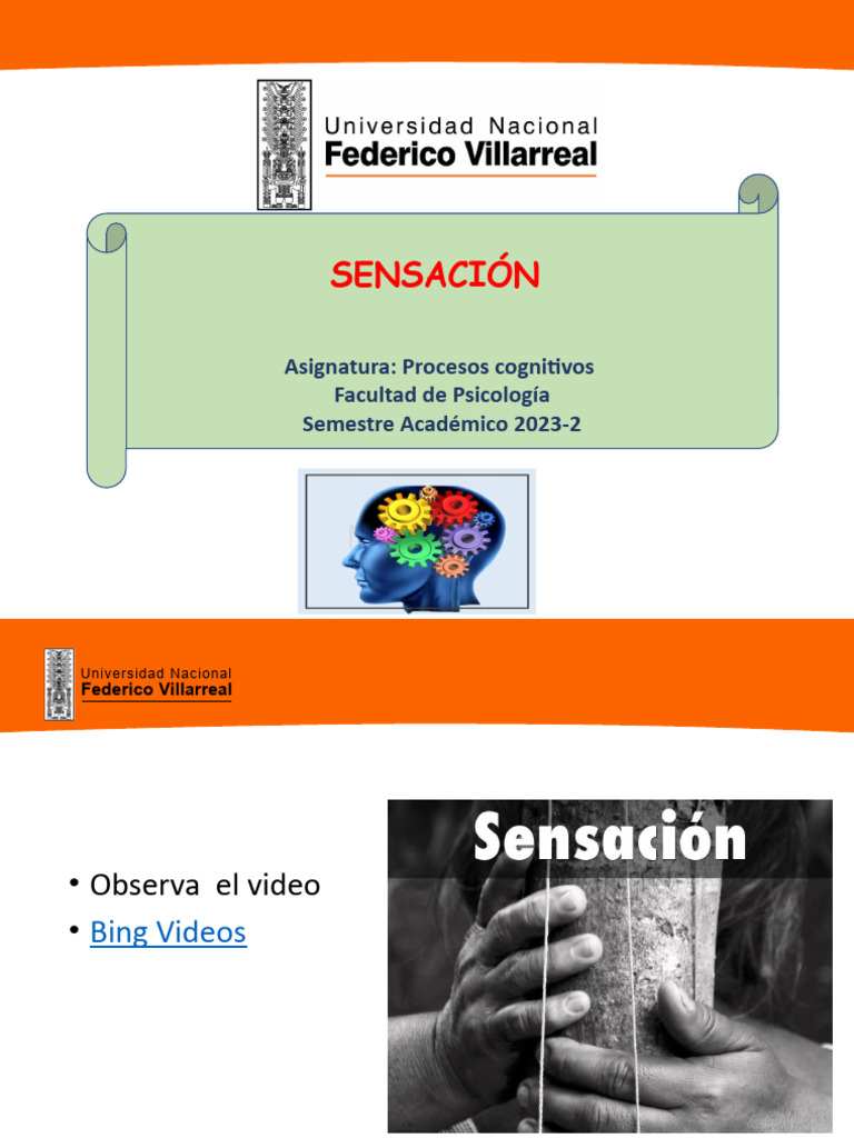 SESIÓN 5-Sensación | PDF | Sentidos | Percepción