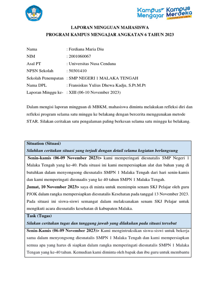 Laporan Minggu Ke Xiii - Ferdiana Maria Diu | PDF | Kesehatan Holistik