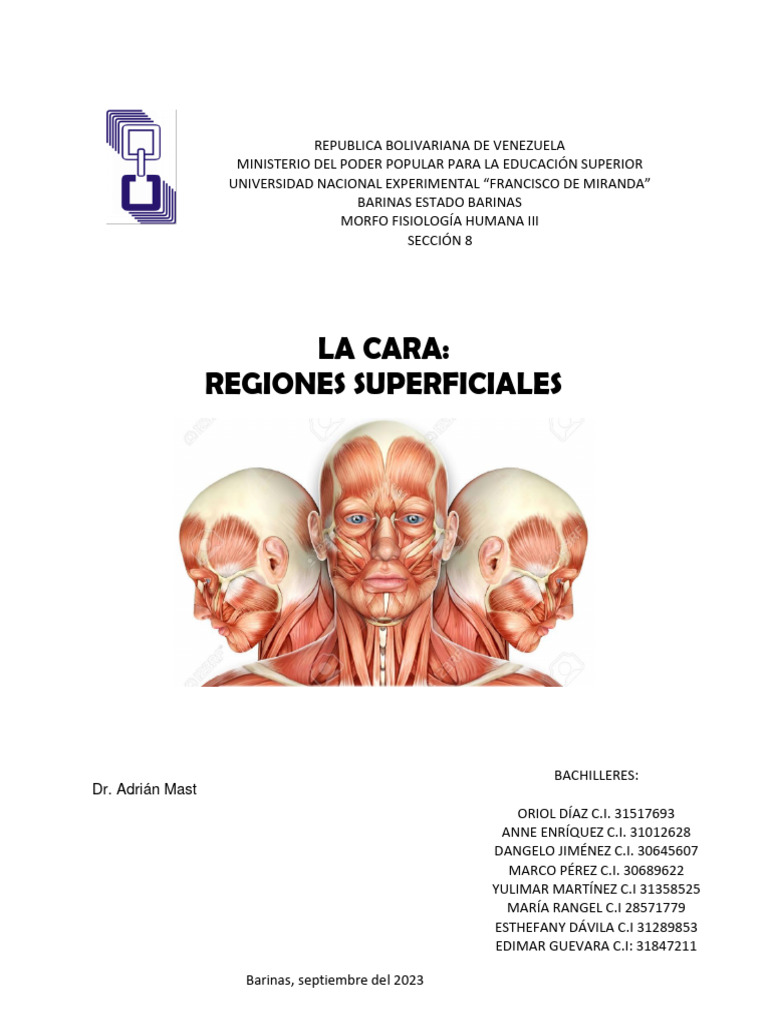 Tema 4 - Regiones Superficiales de La Cara | PDF | Cabeza y cuello ...