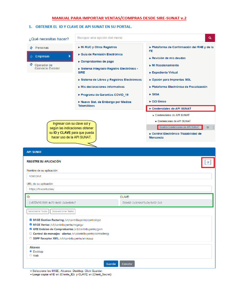 Manual_import_sire | PDF | Informática | Tecnologías de la información