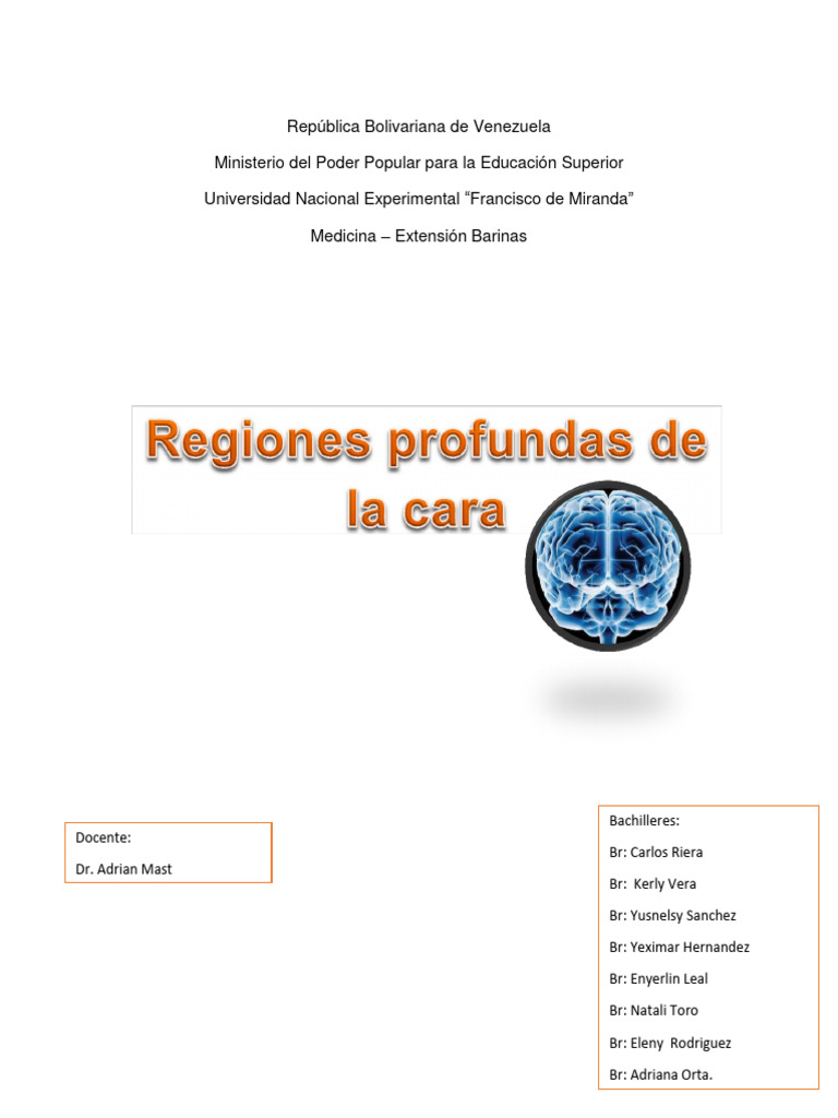 TEMA 5 - Regiones Profundas de La Cara | PDF | Nariz humana | Anatomía ...