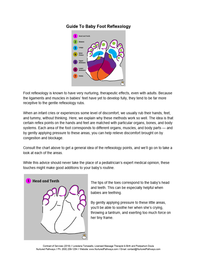 Guide To Infant Foot Reflexology | PDF | Reflexology | Foot