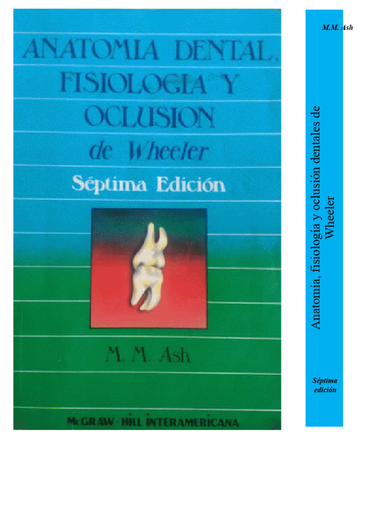 Anatomía, Fisiología y Oclusión Dentales de Wheeler | PDF