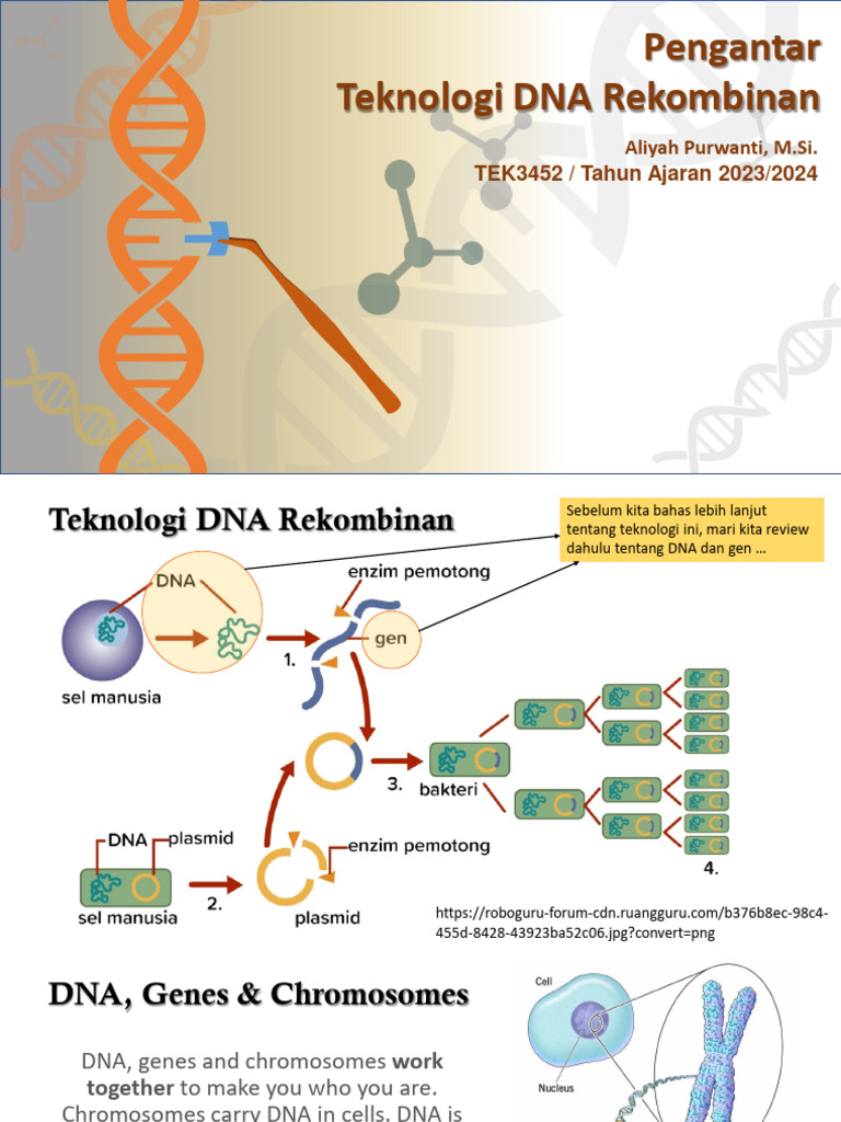 TM2. Pengantar Teknologi Dna Rekombinan Ganjil 23 24 | PDF | Dna | Gene