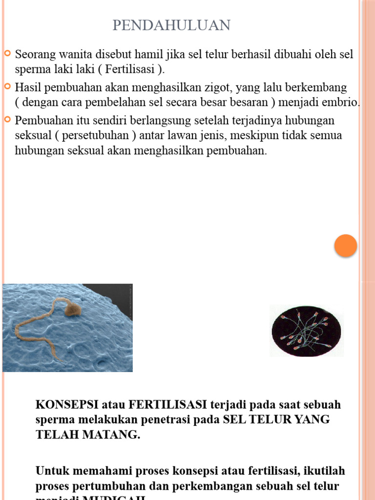 PROSES KEHAMILAN PPTX | PDF