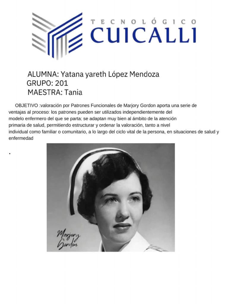 MARJORy | PDF