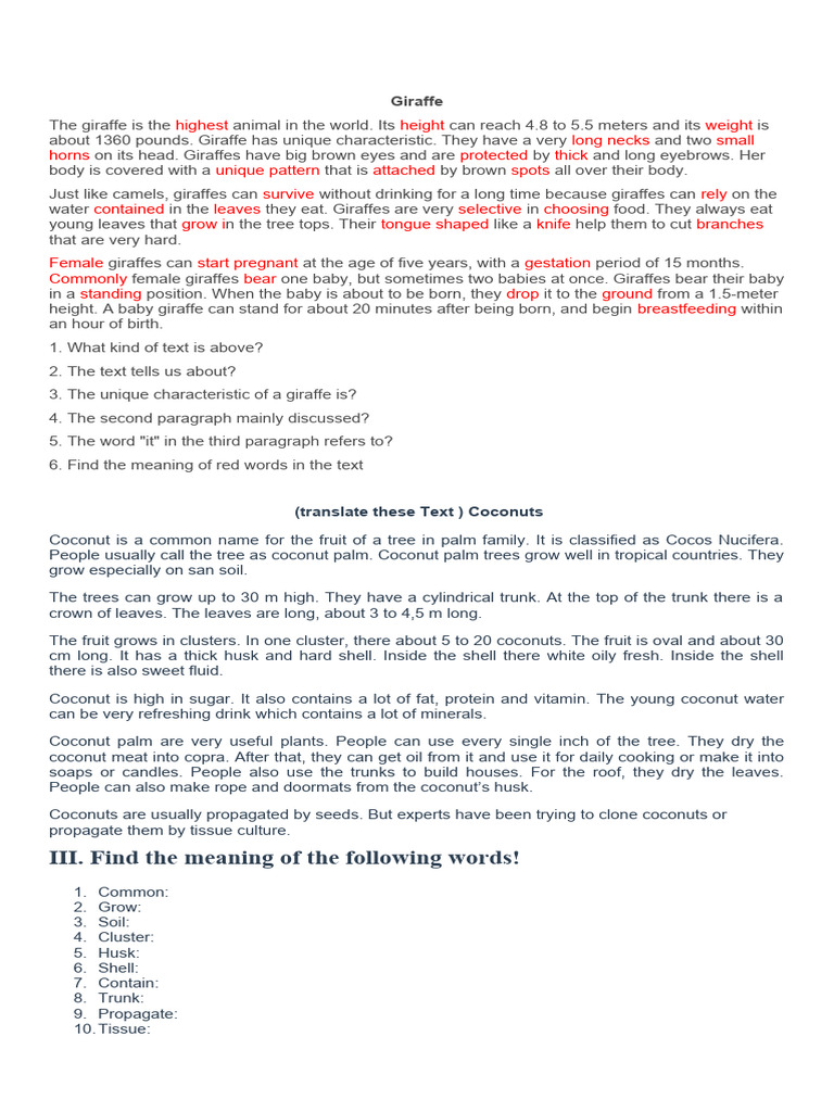 Giraffe | PDF | Coconut | Giraffe