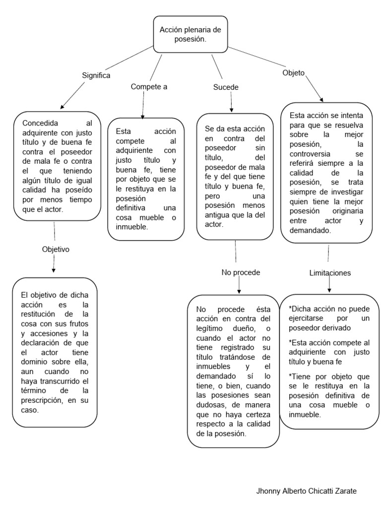 Accion Plenaria de Posesion | PDF