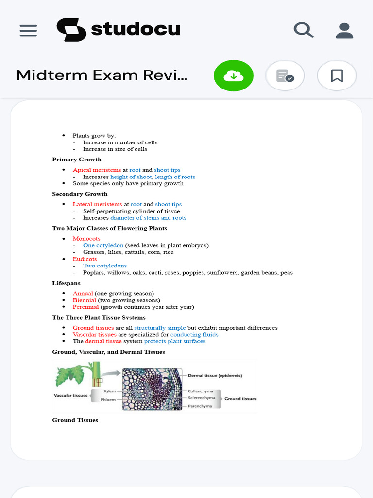 Midterm Exam Review Notes (Part 2) - Biology Midterm Notes Plant ...