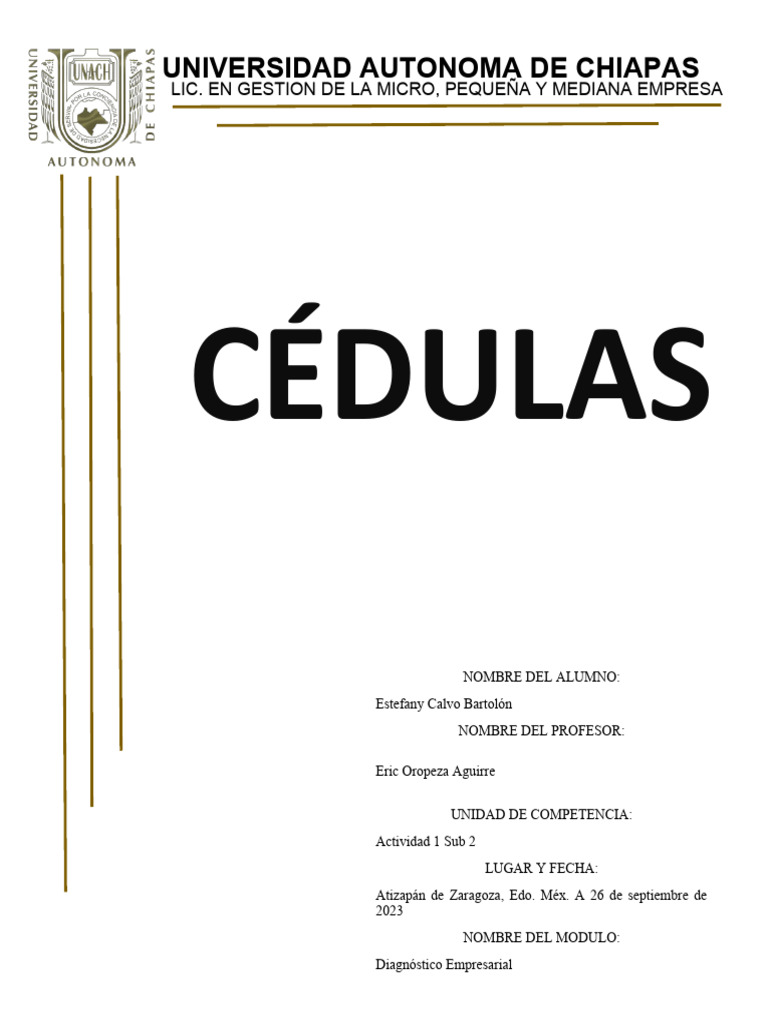 CÉDULAS | PDF | Business | Marketing